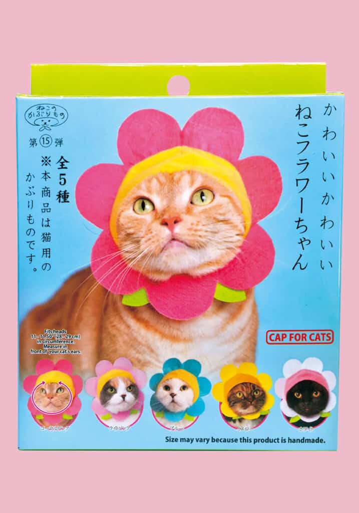 Cat Cap Blind Boxes Wholesale - Japanese Collectibles - Clever Idiots