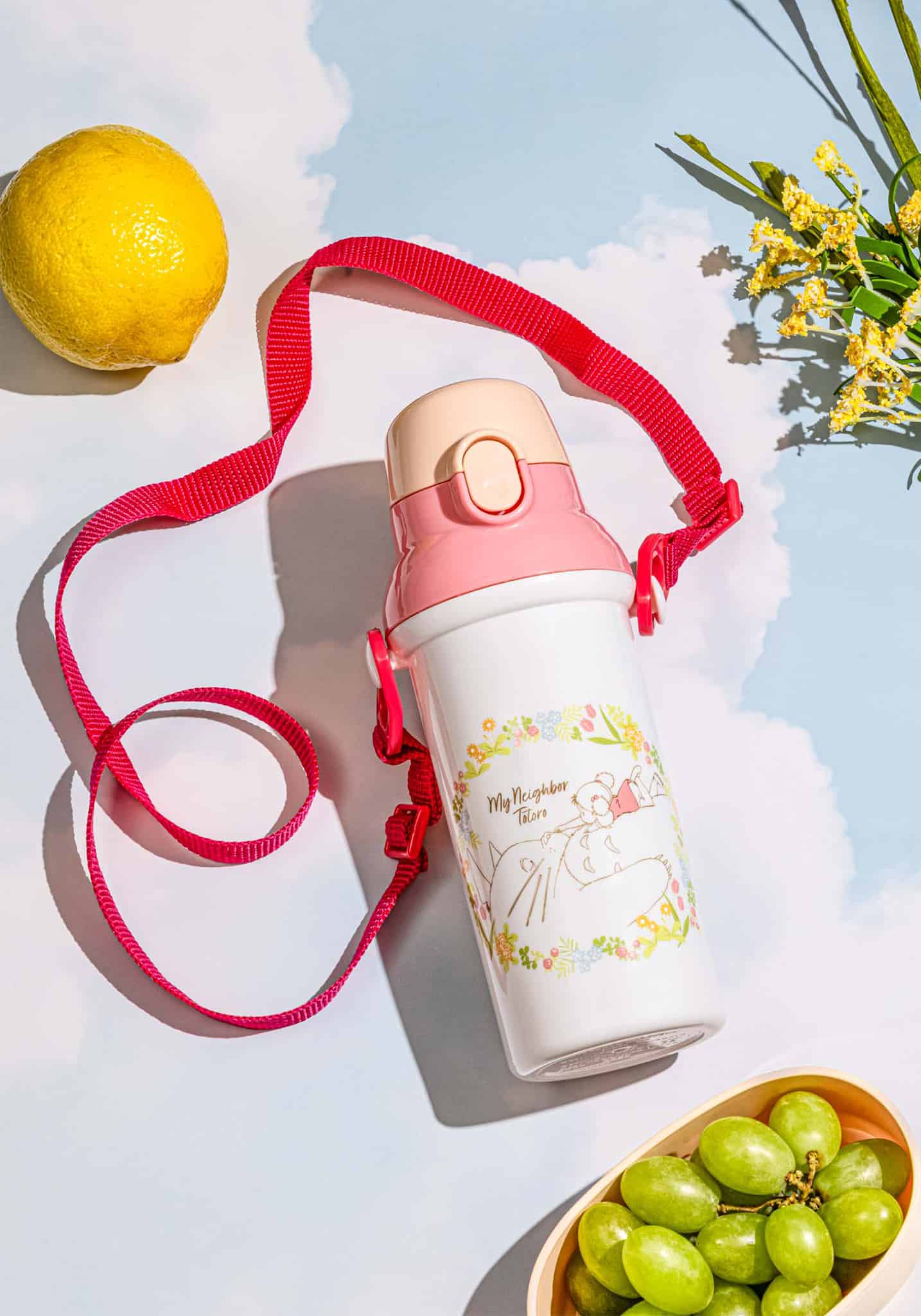 My Neighbor Totoro Water Bottle with Strap 16.23oz (Totoro and Mei ...